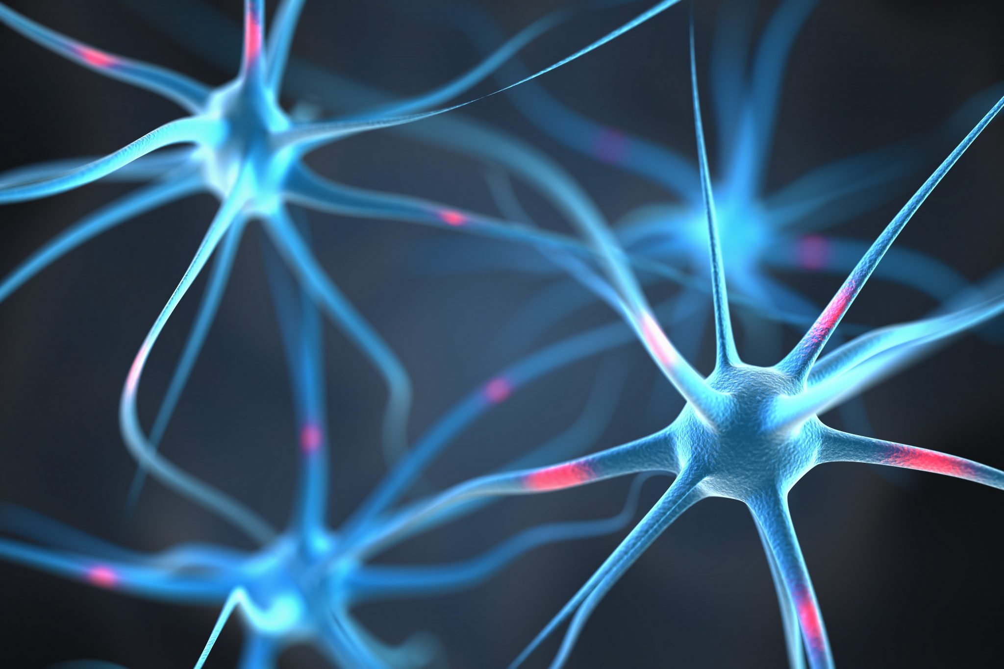Système nerveux : fonctions, composition et pathologies associées ...