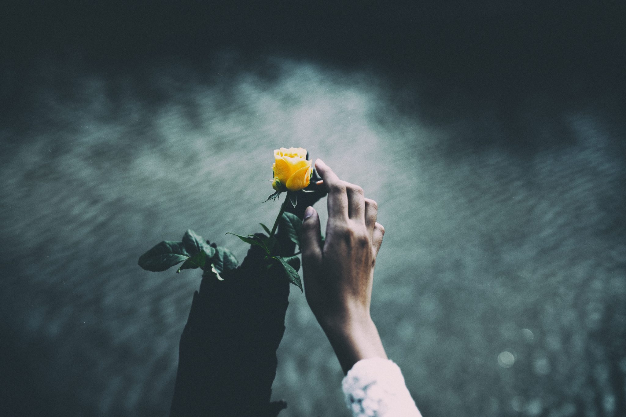 Sense of Smell: What is it, its process, curiosities and disorders