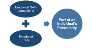 Emotional Intelligence: What is it, models of interpretation and ...