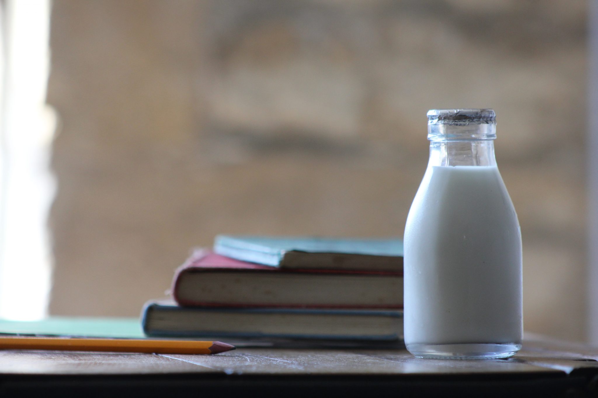 Probiotics: Everything you need to know about our friendly bacteria