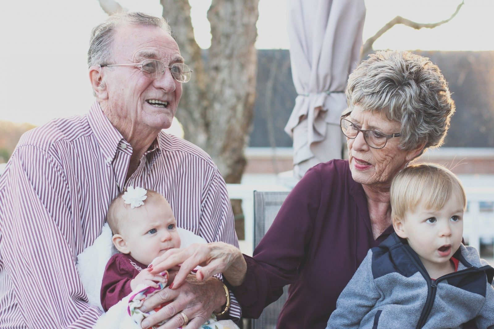 Senescence: Aging Cells That Drain Youth? - Health, Brain and Neuroscience