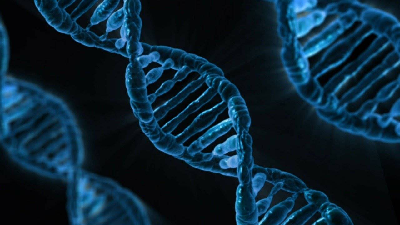 Is depression hereditary? - CogniFit's Blog